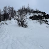 Bird Ridge Trail, Alaska - 995 Reviews, Map | AllTrails