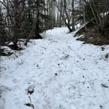 Bird Ridge Trail, Alaska - 995 Reviews, Map | AllTrails