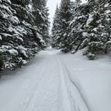 Webster and Red Cone Pass Trail, Colorado - 120 Reviews, Map | AllTrails