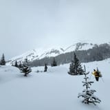 Webster and Red Cone Pass Trail, Colorado - 120 Reviews, Map | AllTrails