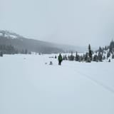 Webster and Red Cone Pass Trail, Colorado - 120 Reviews, Map | AllTrails