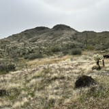 Go John Trail, Arizona - 2,590 Reviews, Map | AllTrails