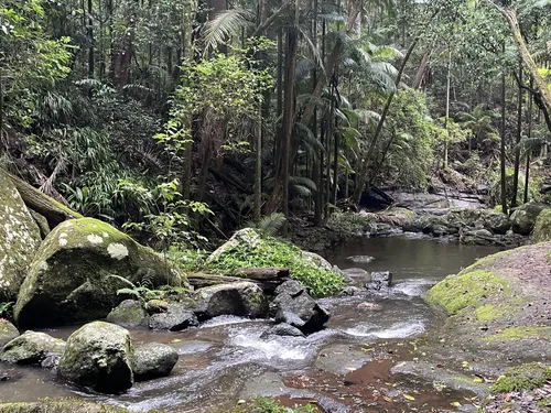 10 Best Trails and Hikes in Border Ranges | AllTrails