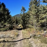 Silver Run Loop Trail, Montana - 546 Reviews, Map | AllTrails