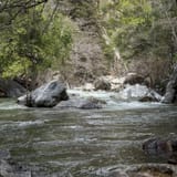 Big Sur River Gorge Trail, California - 656 Reviews, Map | AllTrails