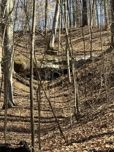 Best Hikes and Trails in Ferdinand State Forest | AllTrails