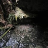 Junee Cave Track, Tasmania, Australia - 98 Reviews, Map | AllTrails