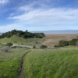 Turtleback Point Loop, California - 155 Reviews, Map | AllTrails