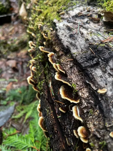 Best Hikes and Trails in Cat Lake Recreation Site | AllTrails