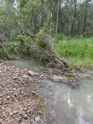 Best Hikes and Trails in Spring Mountain Forest Park | AllTrails