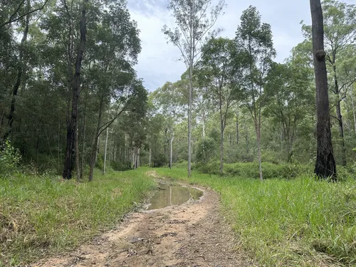 Best Hikes and Trails in Spring Mountain Forest Park | AllTrails