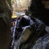 Burnt Mill Loop Trail, Tennessee - 492 Reviews, Map | AllTrails
