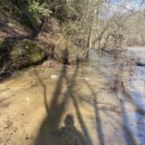 Burnt Mill Loop Trail, Tennessee - 492 Reviews, Map | AllTrails