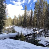 Patterson, Alberta, Canada - 16 Reviews, Map | AllTrails