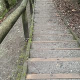 Byrne Creek Ravine Loop Trail, British Columbia, Canada - 878 Reviews ...