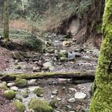 Byrne Creek Ravine Loop Trail, British Columbia, Canada - 878 Reviews ...