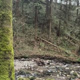 Byrne Creek Ravine Loop Trail, British Columbia, Canada - 878 Reviews ...