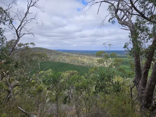 Best River Trails in Mount Crawford Forest Reserve | AllTrails
