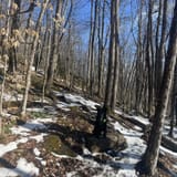 Haystack Mountain Trail, New York - 1,204 Reviews, Map | AllTrails