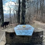 Tri-State Peak Trail, Tennessee - 928 Reviews, Map | AllTrails