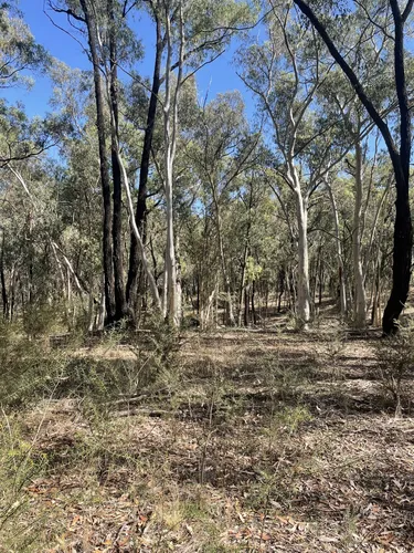 Best Hikes and Trails in Jindalee National Park | AllTrails