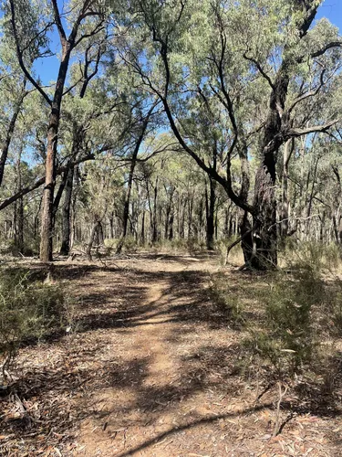 Best Hikes and Trails in Jindalee National Park | AllTrails