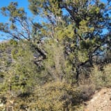 Balancing Rock Trail, Arizona - 624 Reviews, Map | AllTrails