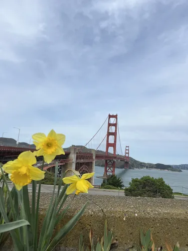 Best Road Biking Trails in Mill Valley | AllTrails