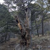 Fatmans Loop Trail, Arizona - 5,001 Reviews, Map | AllTrails