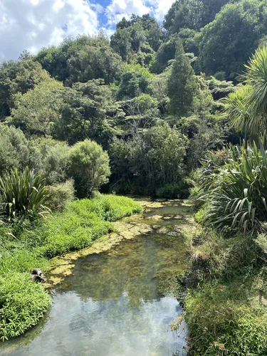Best Hikes and Trails in Clevedon Scenic Reserve | AllTrails