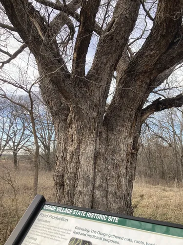 Best Hikes and Trails in Osage Village State Historic Site | AllTrails