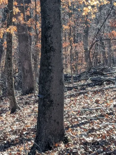 Best Hikes and Trails in Powder Valley Conservation Nature Center ...