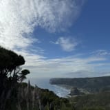 Mercer Bay Loop Track, Auckland, New Zealand - 634 Reviews, Map | AllTrails