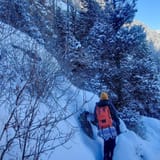 Catamount Falls via Thomas Trail, Colorado - 1,855 Reviews, Map | AllTrails