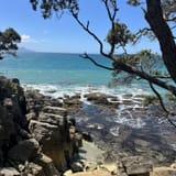 Waipu Coastal Walkway, Northland, New Zealand - 116 Reviews, Map ...