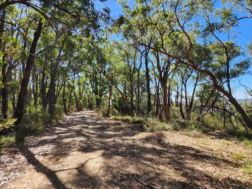 Best River Trails in Horsnell Gully Conservation Park | AllTrails