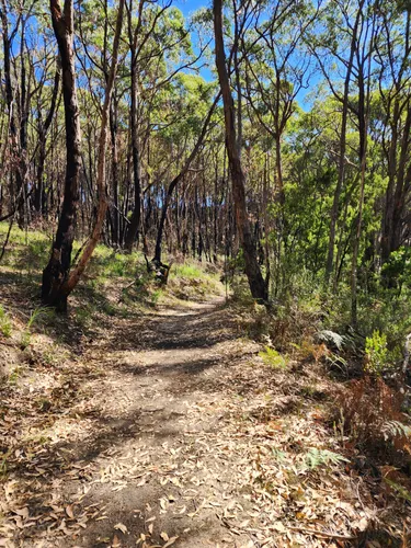 Best River Trails in Horsnell Gully Conservation Park | AllTrails