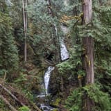 Murhut Falls Trail, Washington - 927 Reviews, Map | AllTrails