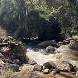 Temescal Canyon Trail, California - 9,779 Reviews, Map | AllTrails