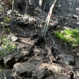 Vergenoeg Hiking Trail: Black Route, North West, South Africa - 323 ...