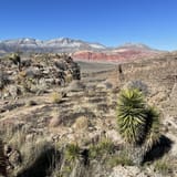 Fossil Ridge Loop, Nevada - 831 Reviews, Map | AllTrails