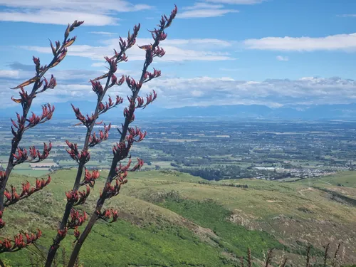 Best Hikes and Trails in Hoon Hay Reserve | AllTrails