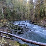 Staircase Rapids Loop, Washington - 2,370 Reviews, Map | AllTrails