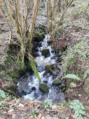 Best River Trails in Portlaw | AllTrails