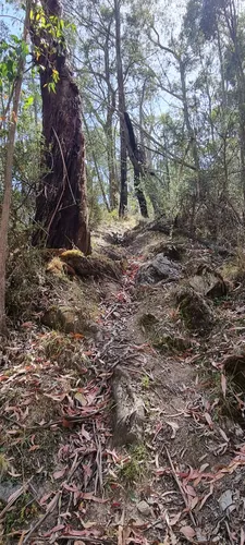 Best Hikes and Trails in Enfield State Park | AllTrails