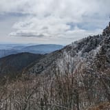 Mount Atago Loop, Kyoto, Japan - 182 Reviews, Map | AllTrails