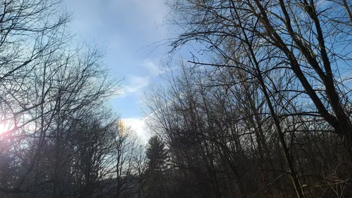 Best Hikes and Trails in Bath Nature Preserve | AllTrails