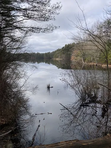 Best Hikes and Trails in Massasoit State Park | AllTrails