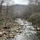 South Toe River Loop, North Carolina - 105 Reviews, Map | AllTrails