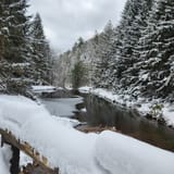 Sand Spring Trail, Pennsylvania - 344 Reviews, Map | AllTrails